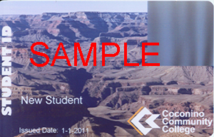 Coconino Community College - Security General Information