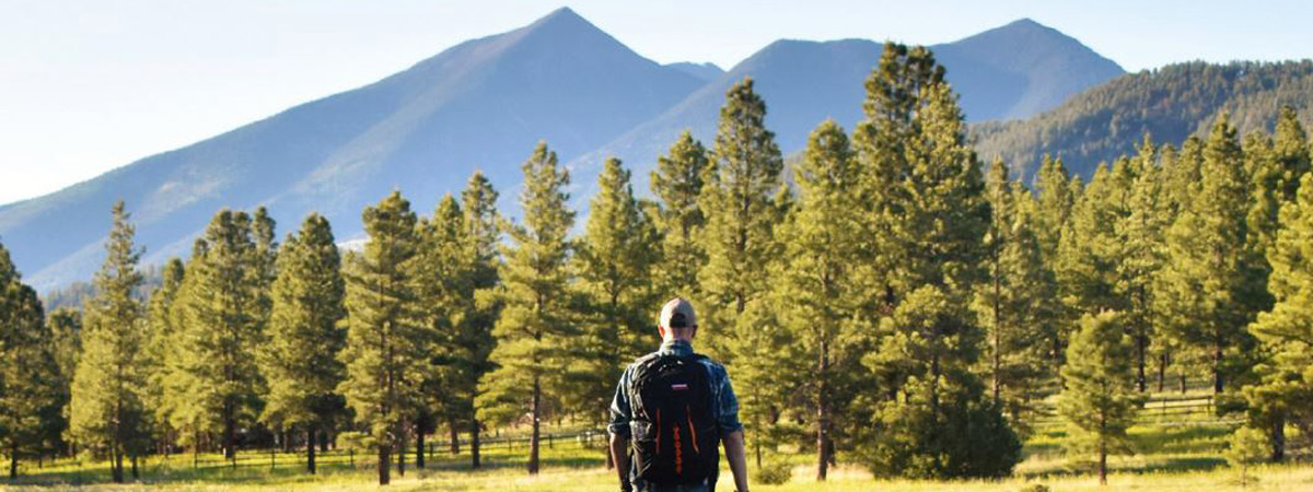 Coconino Community College - Education that Works for You