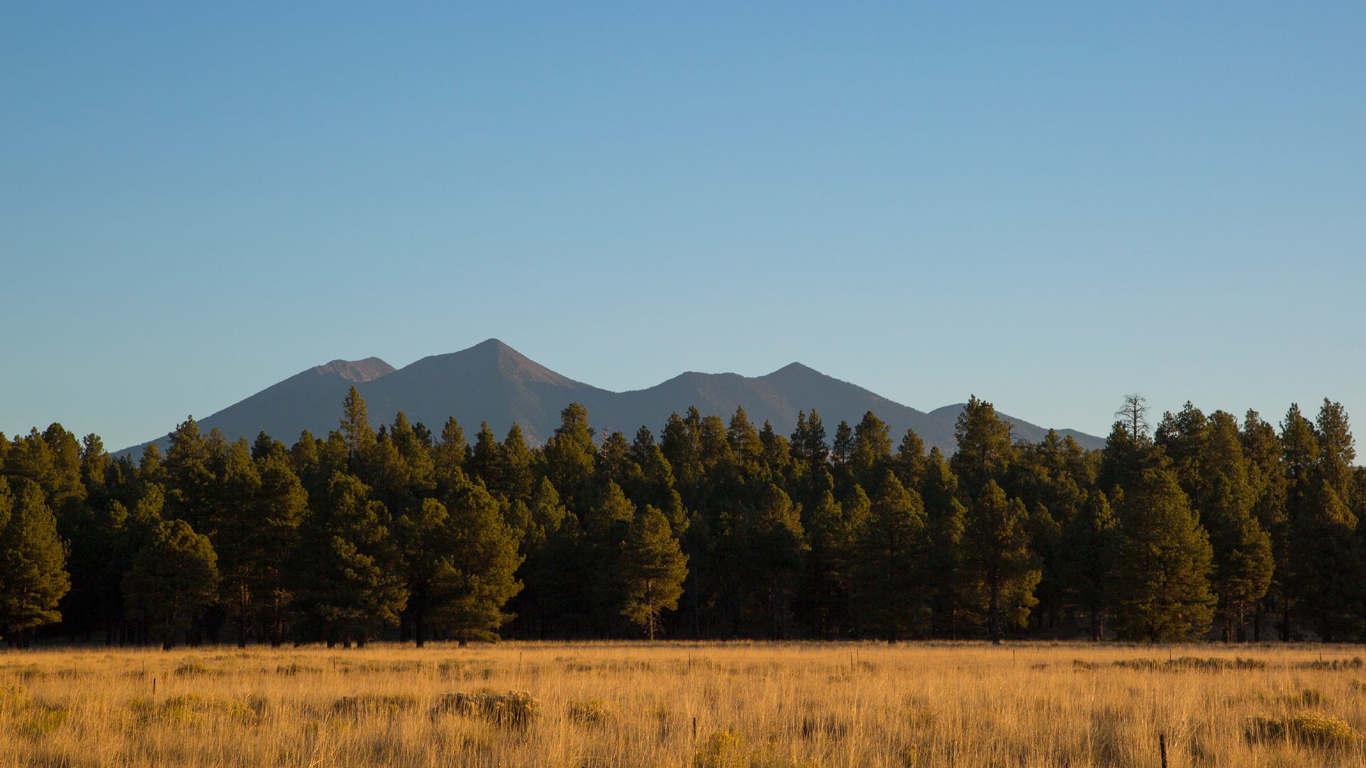 Coconino Community College - Education that Works for You